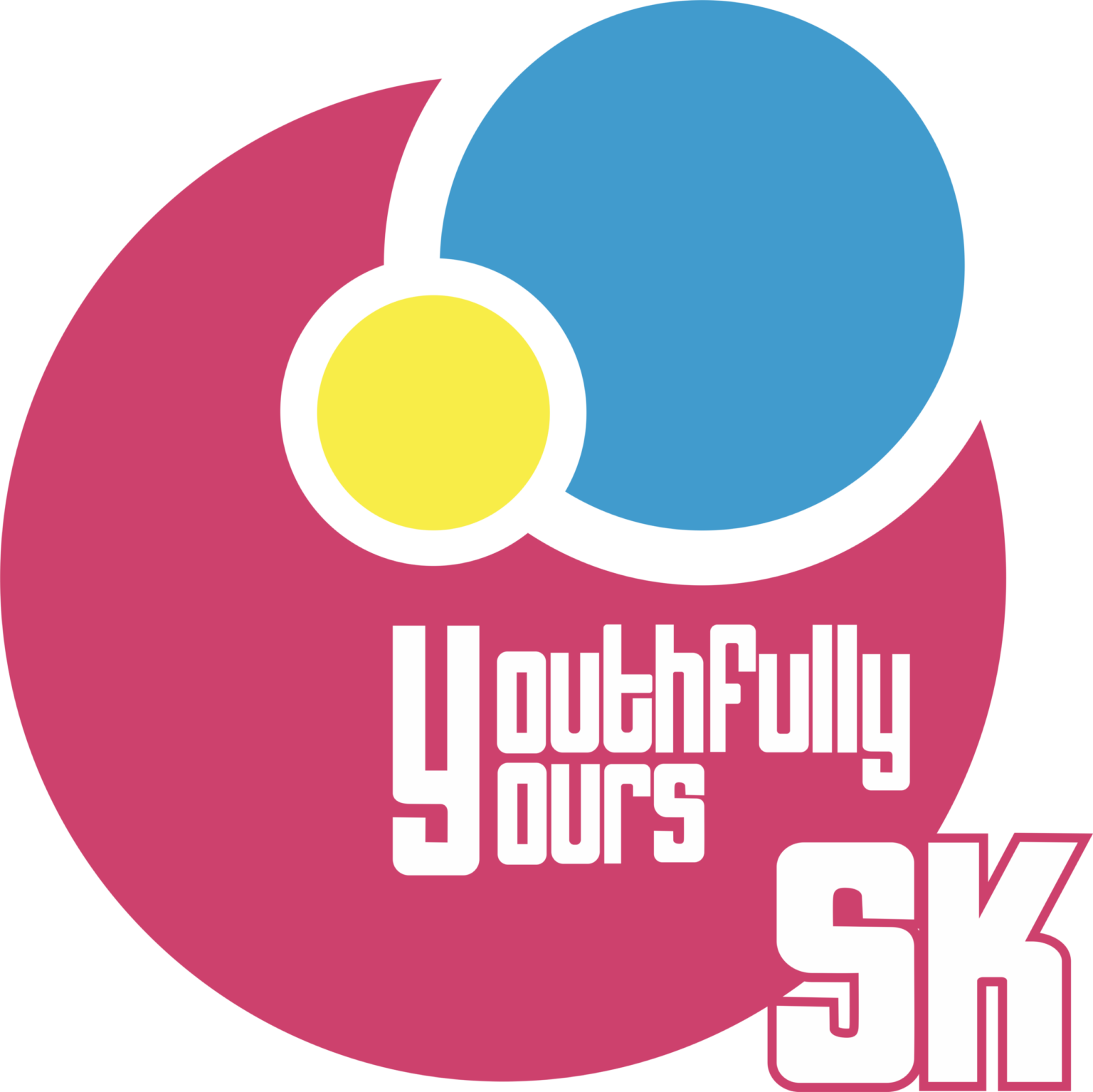 Engage, Connect and Empower Local Youth Councils in Europe (ECE-LYCE ...